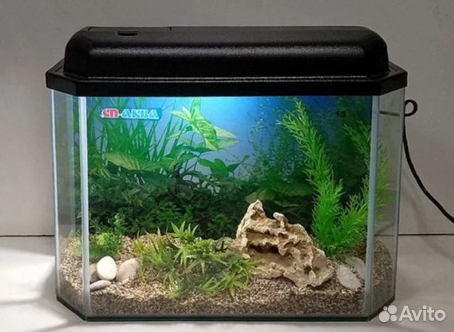 Аквариум с рыбками на 60 л