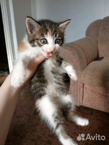 Милая девчушка