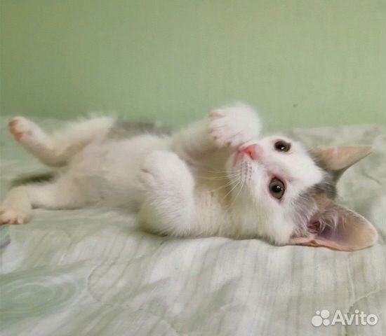 Малышка Тосенька в добрые руки