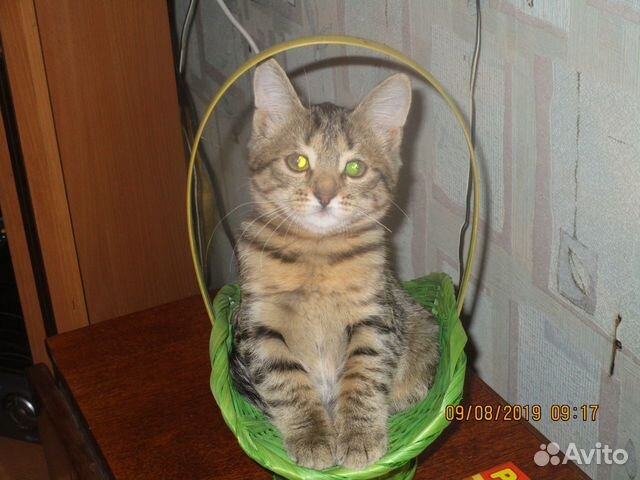 Подарок судьбы