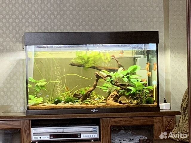 Аквариум Биодизайн Риф 150