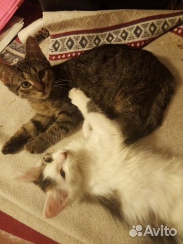 Маленькие очаровашки