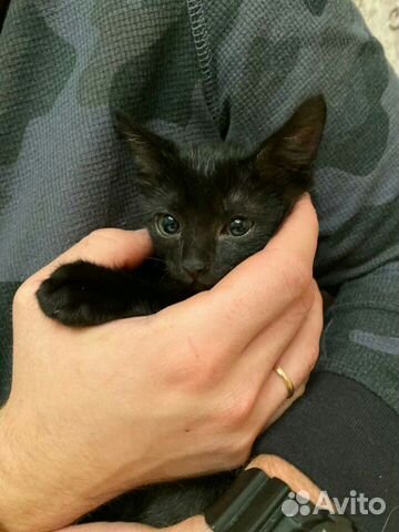 Супер малышка