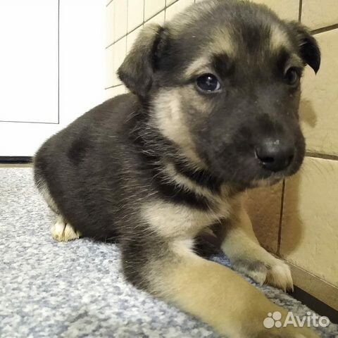 Серьезный мальчик Тихон в дар
