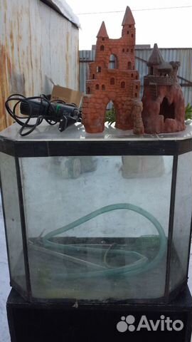 Аквариум и принадлежности