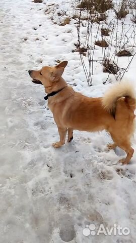 Тимоша. Некрупный мальчик 2 года