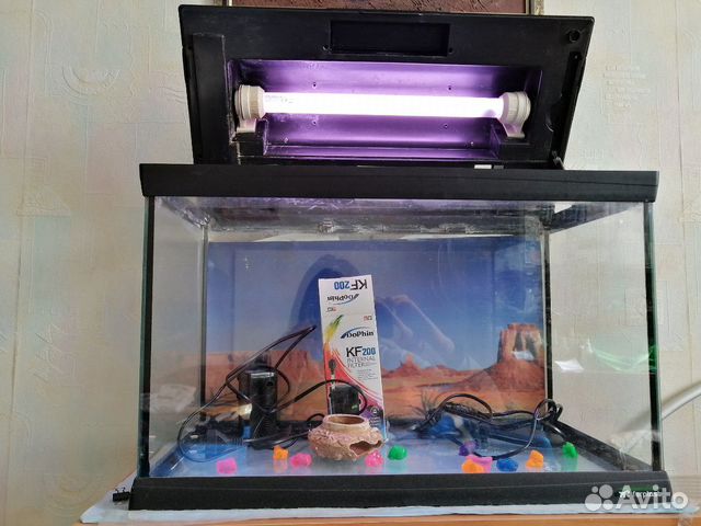 Аквариум 40 л, с таймером света + оборудование