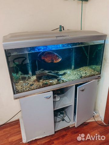 Аквариум 250 л