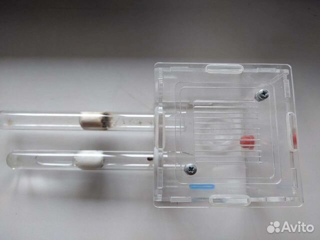 Инкубатор муравьиный