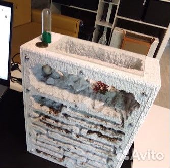 Отдам муравиную ферму с муравьями