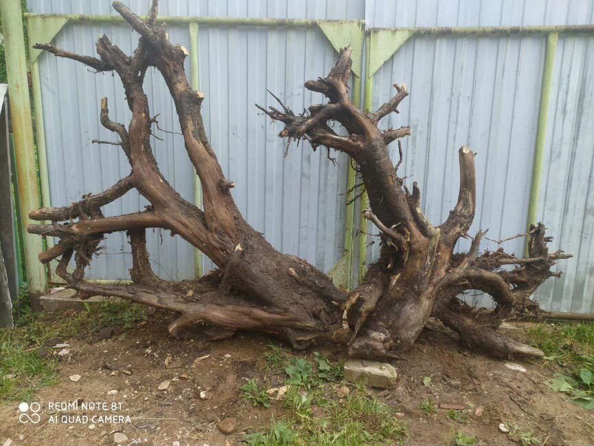 Террариум Аквариум коряги