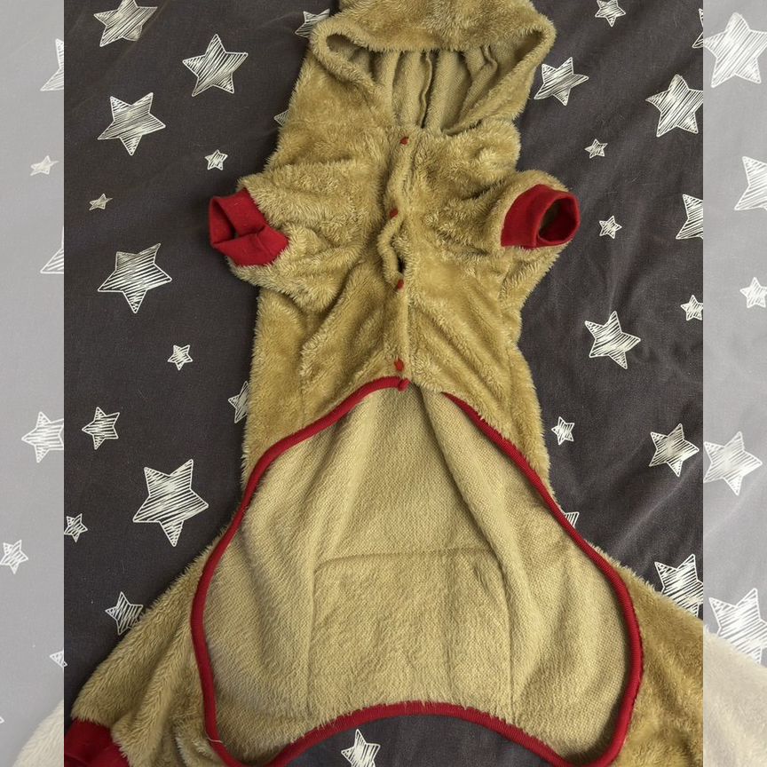 Костюм для собаки