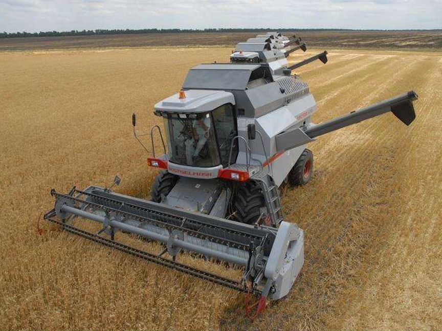 Пшеница, горох, лён