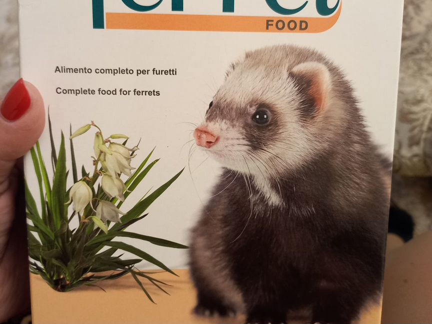 Корм для хорька