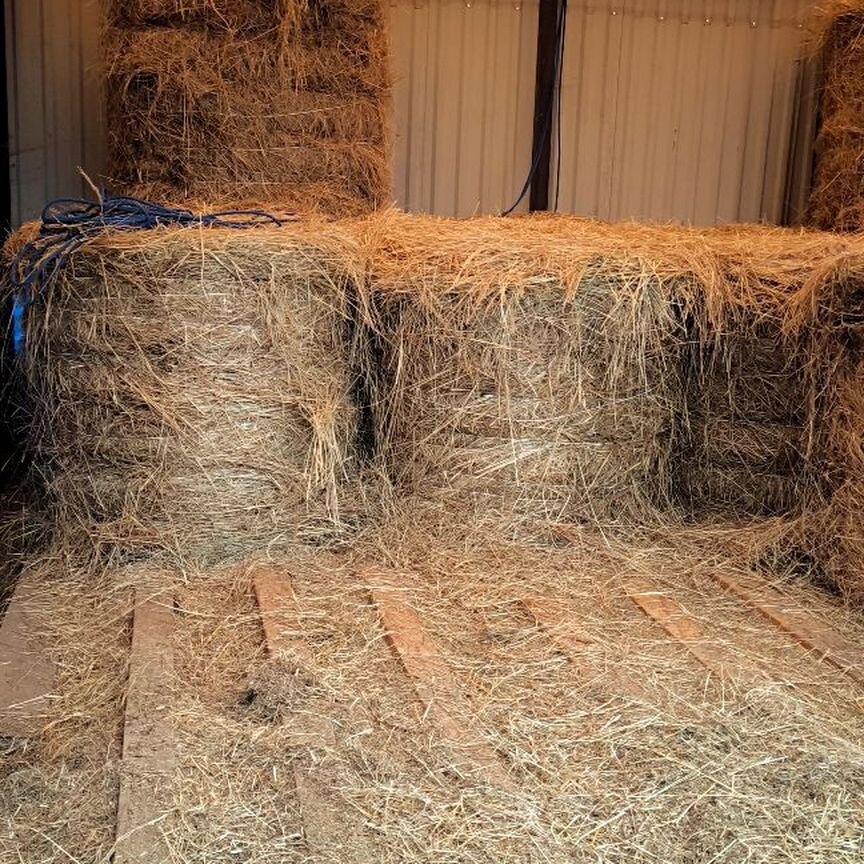 Сено в рулонах