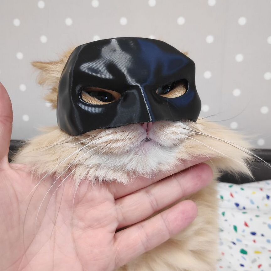 Маска бэтмена для кошки