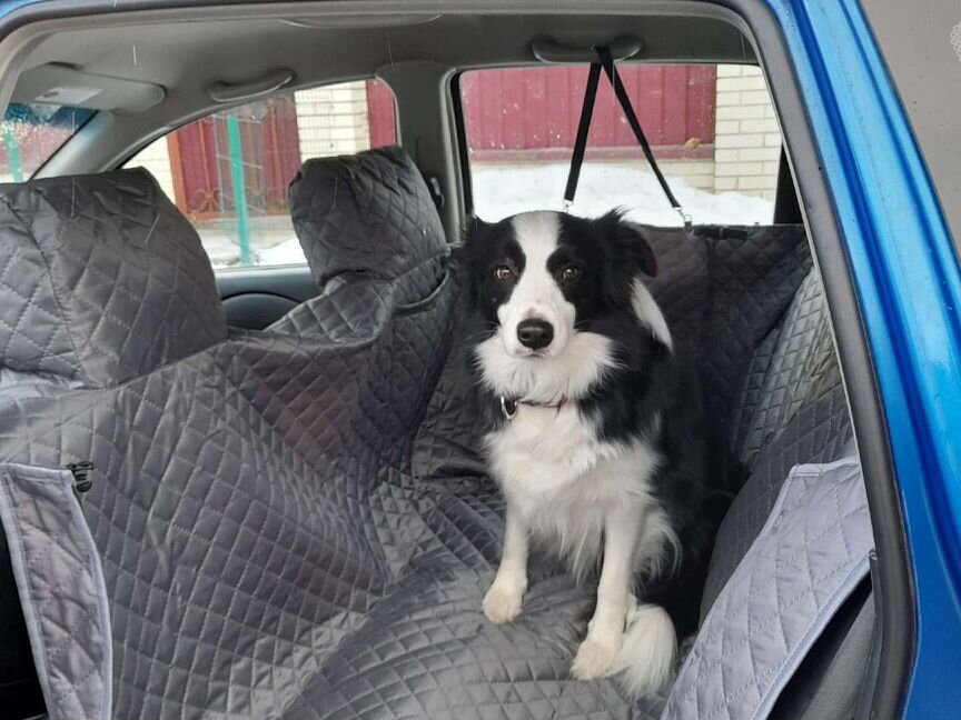 Автогамак для собак DoggyCo с мягкими дверками