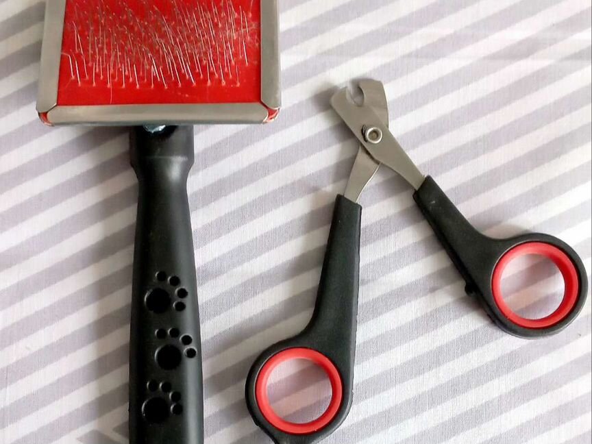 Когтерезка для кошек, чесалка