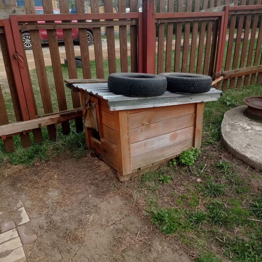 Будка для собаки