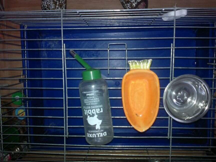 Товары для животных клетка обмен