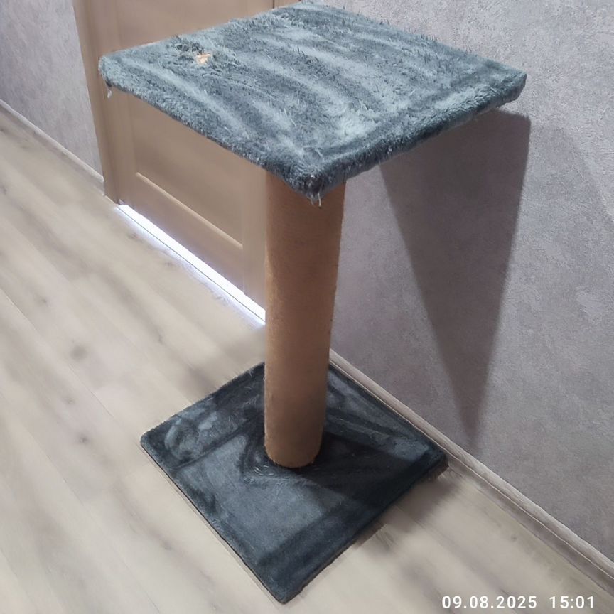 Когтеточка