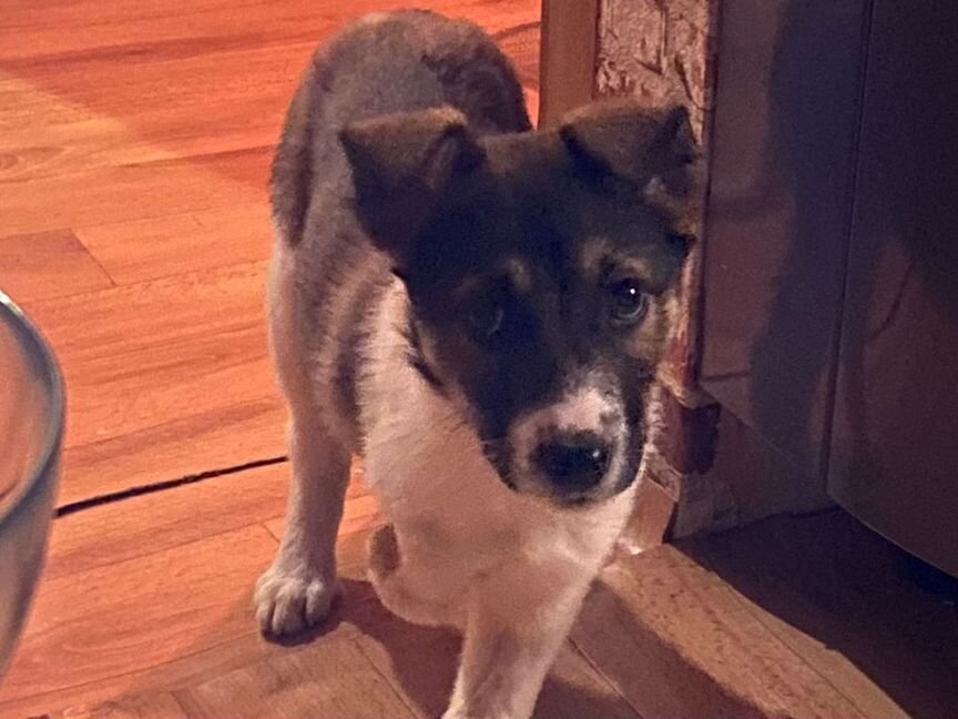 Особенный малыш ищет свою семью