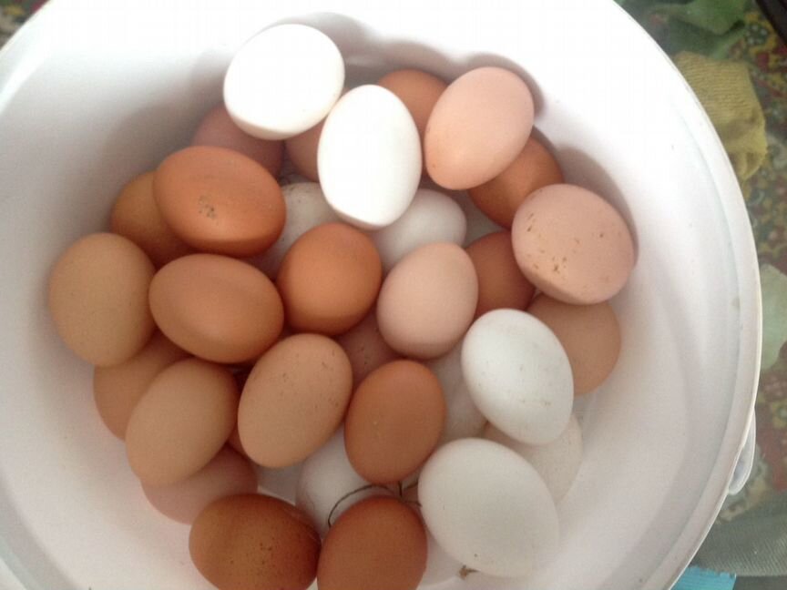 Яйца куриные