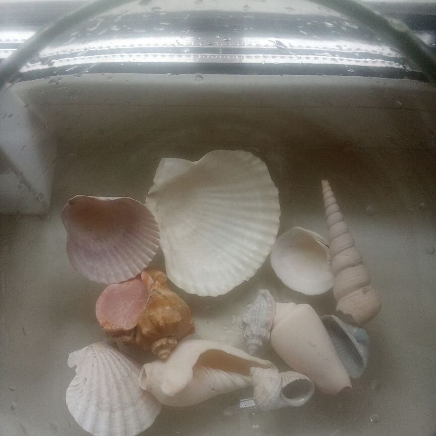 Аквариум круглый 5 литров