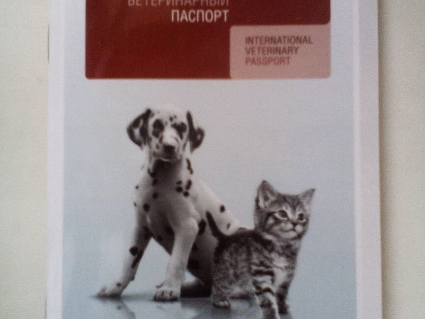 Для кошек и собак