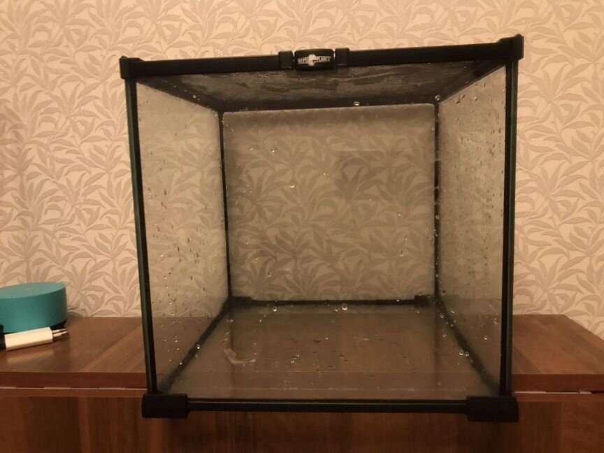 Террариум с гигрометром