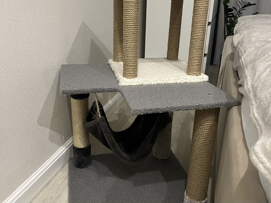 Когтеточкас гамаком