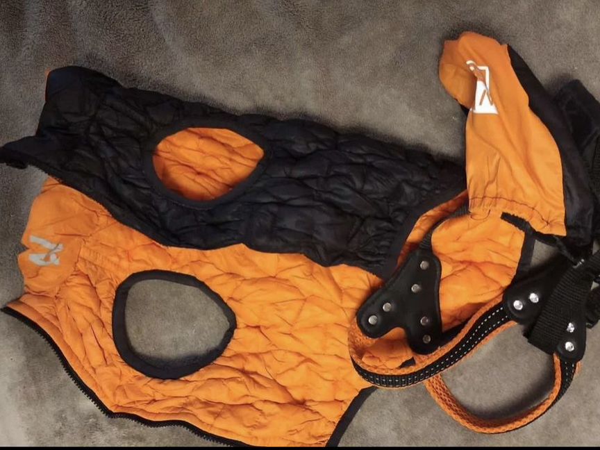 Комбинезон на щенка