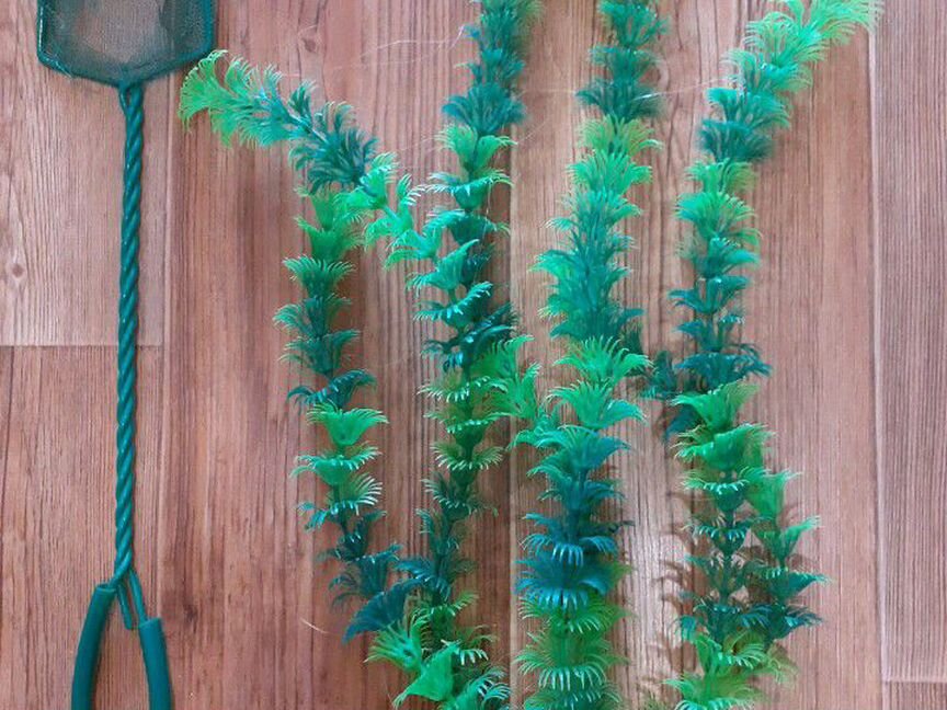 Искусственные водоросли и сачок для аквариума