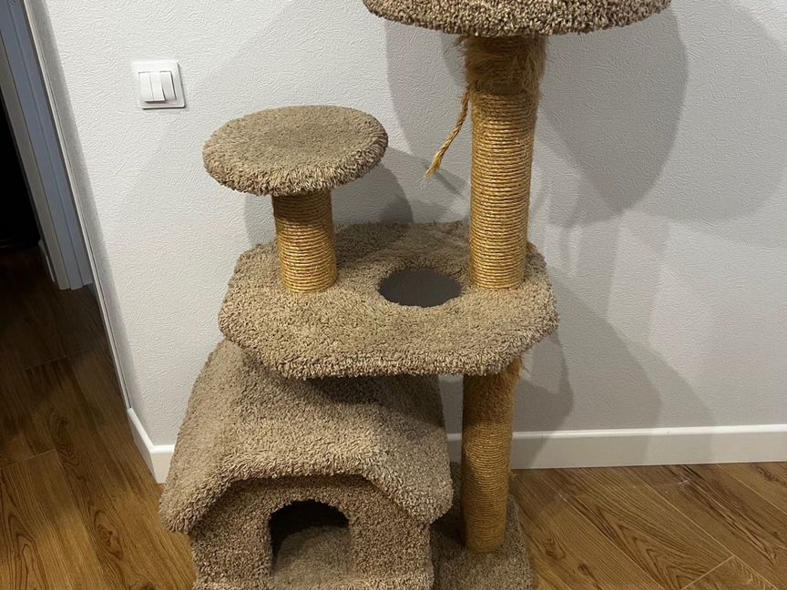 Когтеточка домик для кошки даром