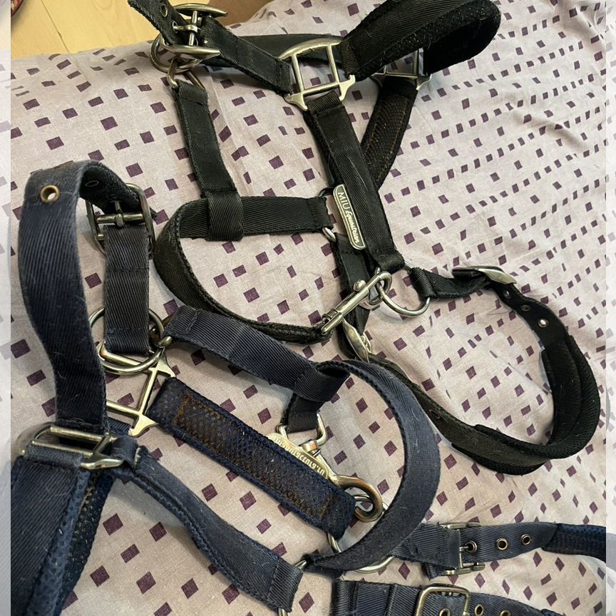 Недоуздок пкм,размер pony