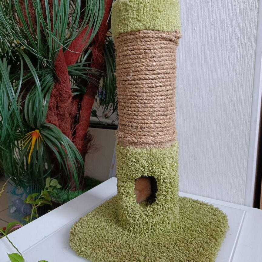 Когтеточка, бу