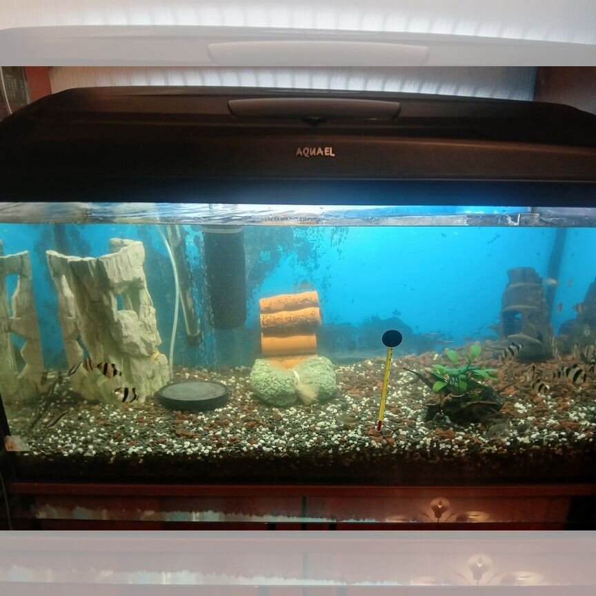 Аквариум с рыбками и тумбой