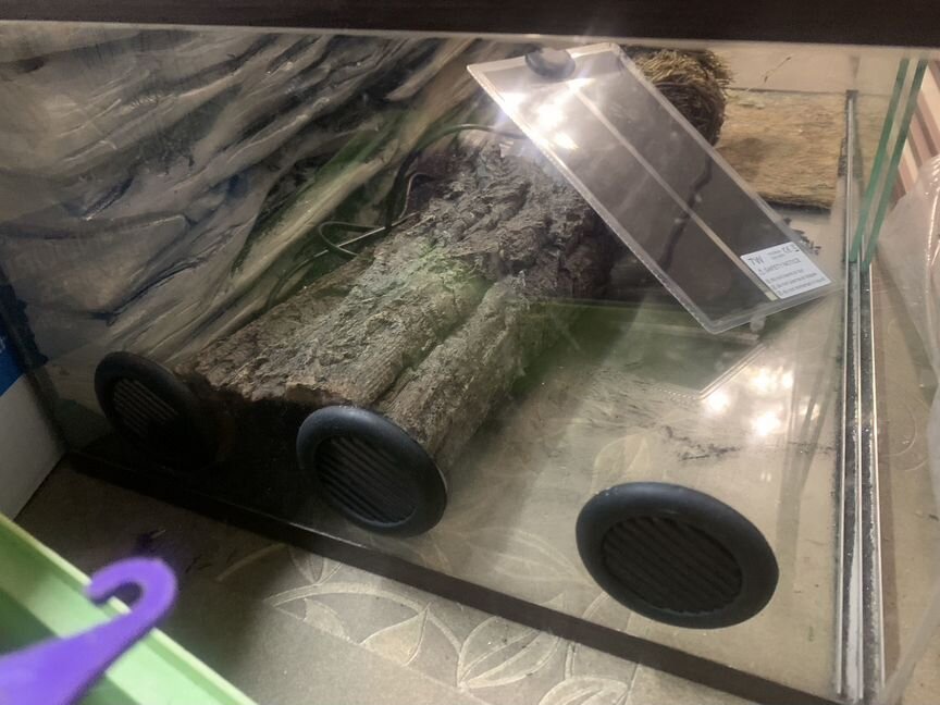 Террариум для рептилий