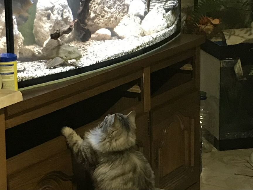 Аквариум 360 л