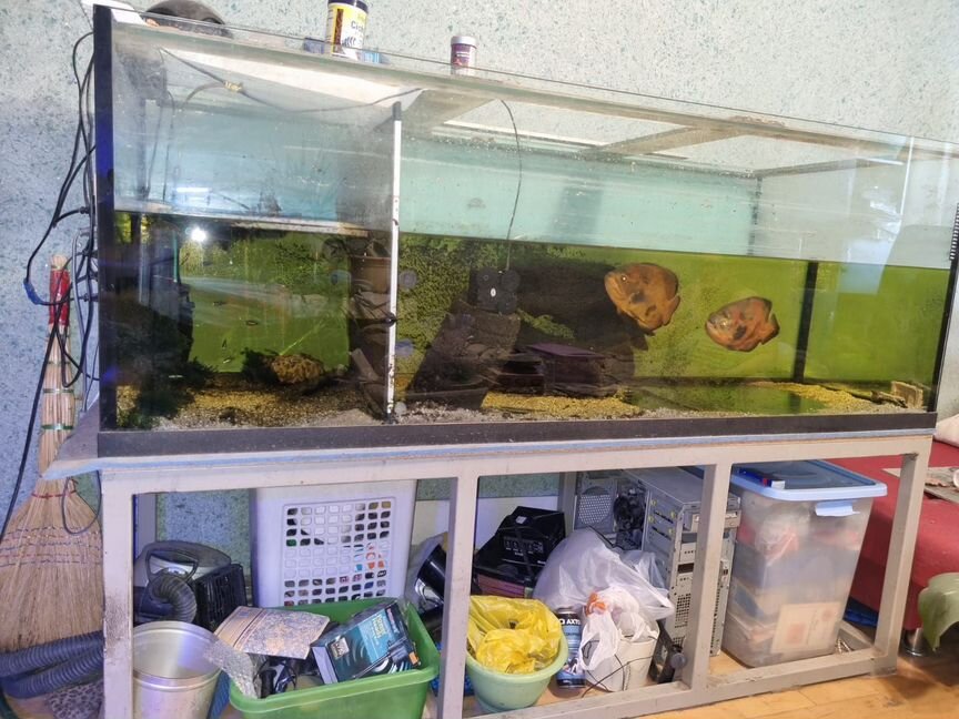 Аквариум 800 литров