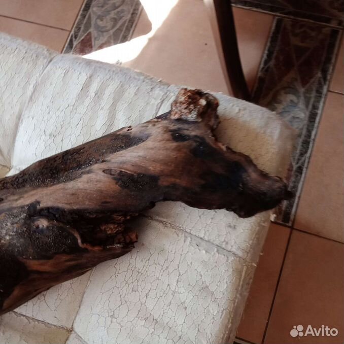 Коряга шикарная, с гор,обмен