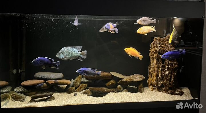 Аквариум 300л