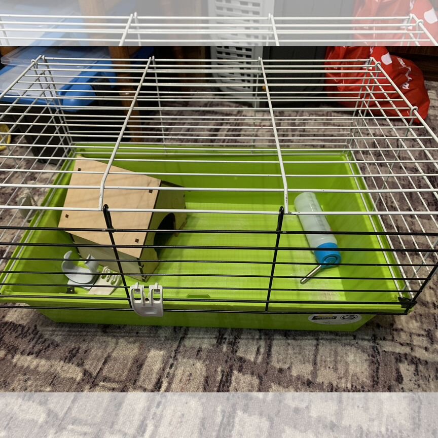 Клетка для грызунов ferplast cavie 60 зеленая