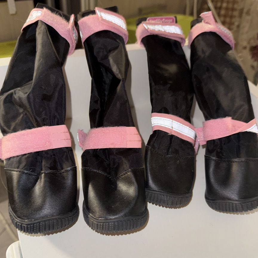 Обувь для собак крупных пород