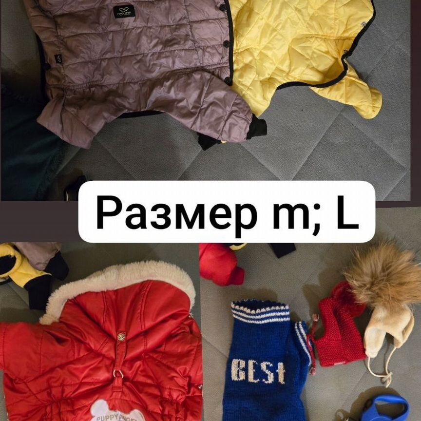 Одежда и обувь для собак средних