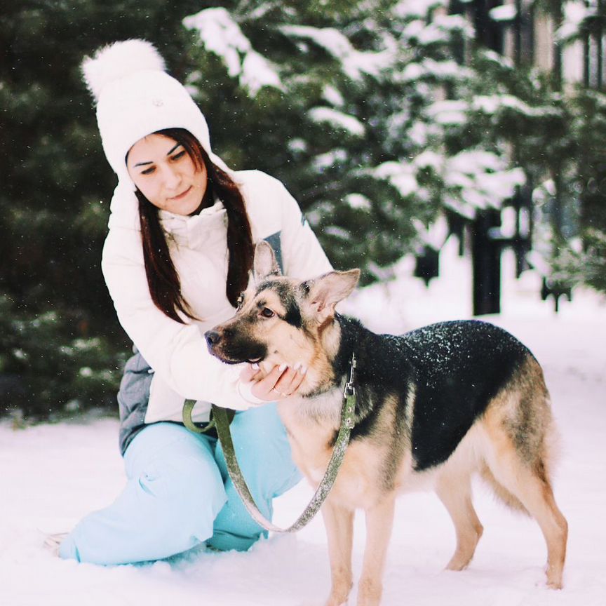 Рокси ищет дом