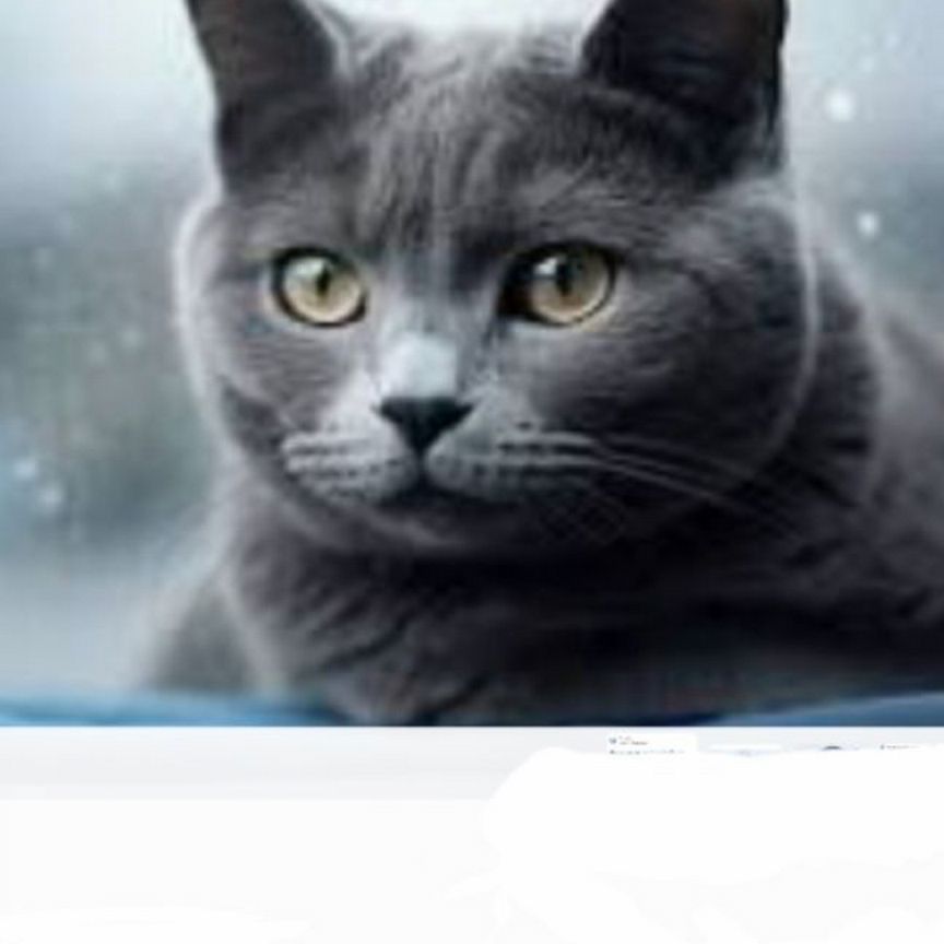 Британская