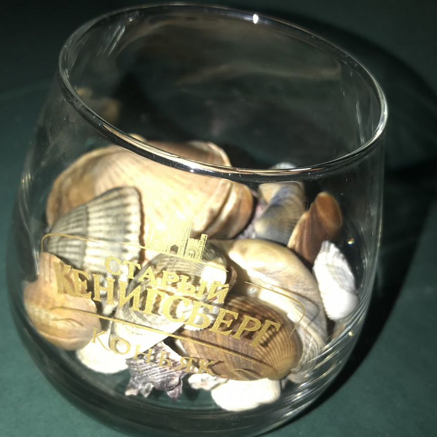 Ракушки морские в стакане для декора