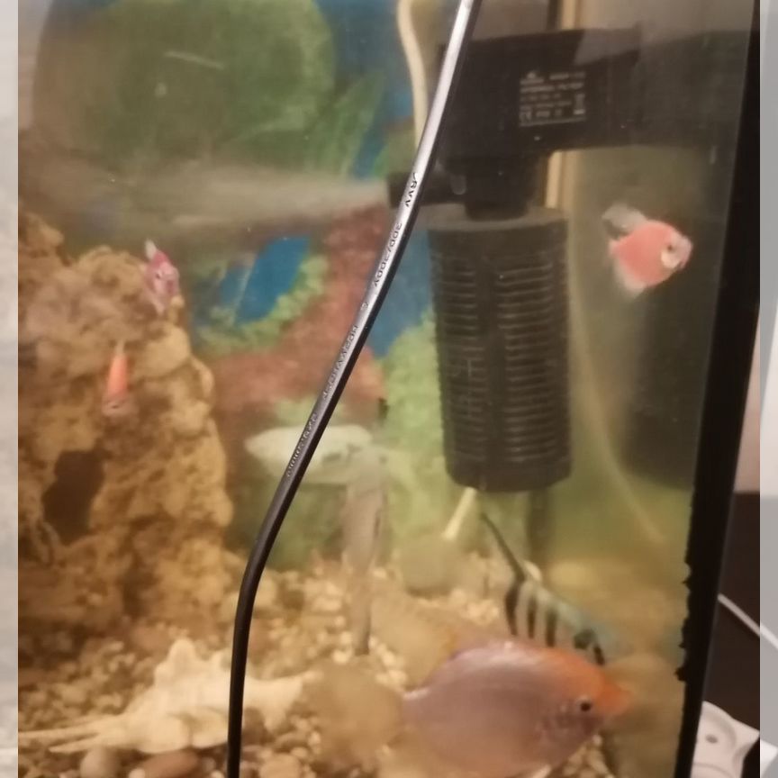 Аквариум с рыбками и аксессуарами