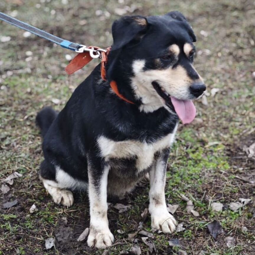 Я ищу дом и любищие сердце